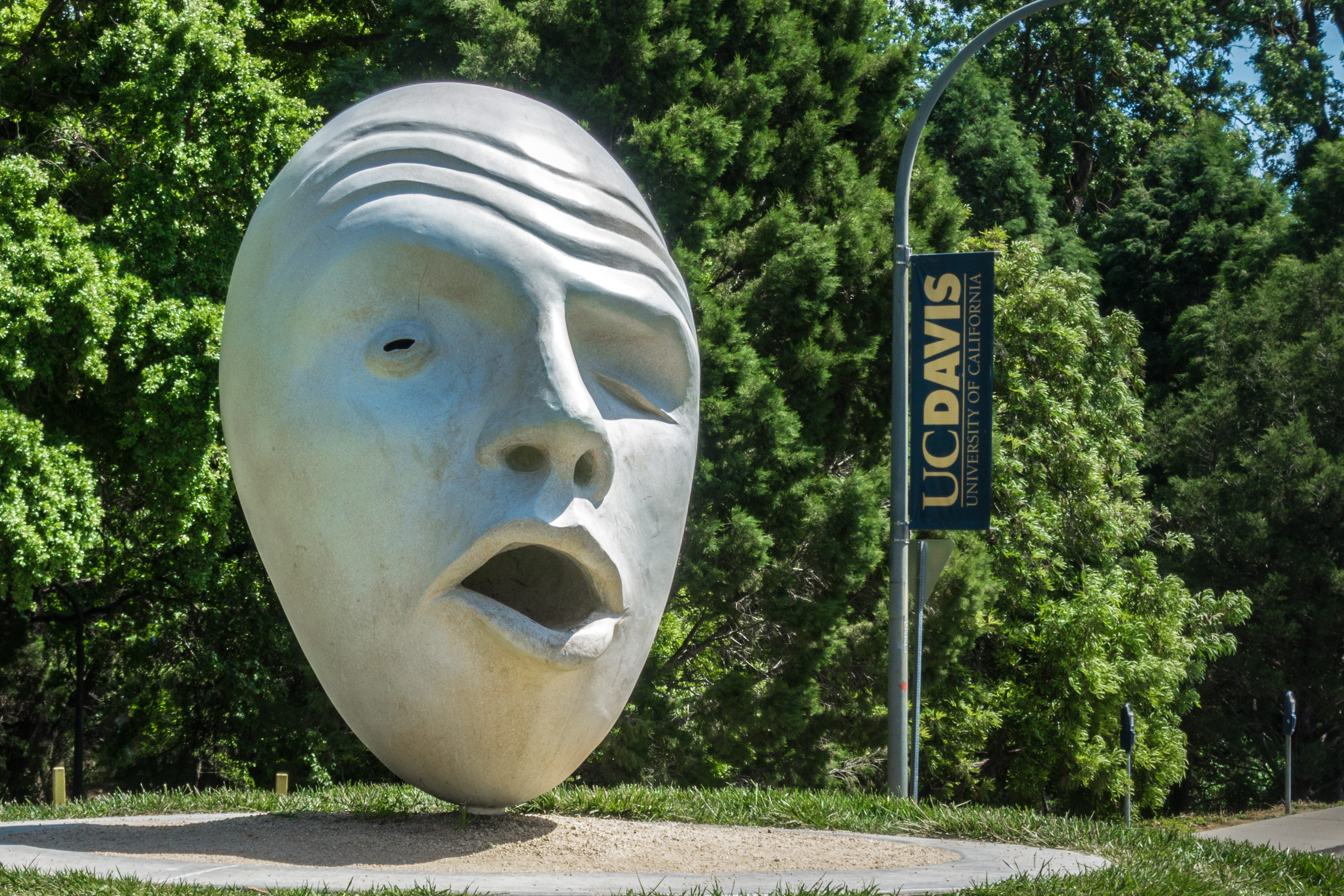 Hidden Gems At The University Of California Davis Exploring The